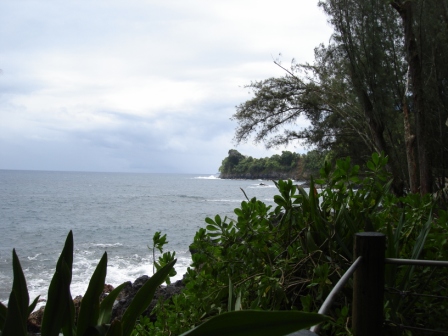Hawaii Tropical Botanical Garden