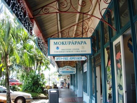 A Day in Hilo Hawaii