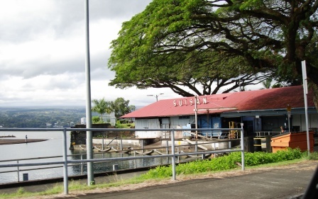 A Day in Hilo Hawaii